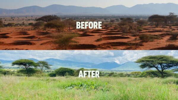 Building Water Bunds: A Step-by-Step Guide to Restoring Semi-Arid Land ...