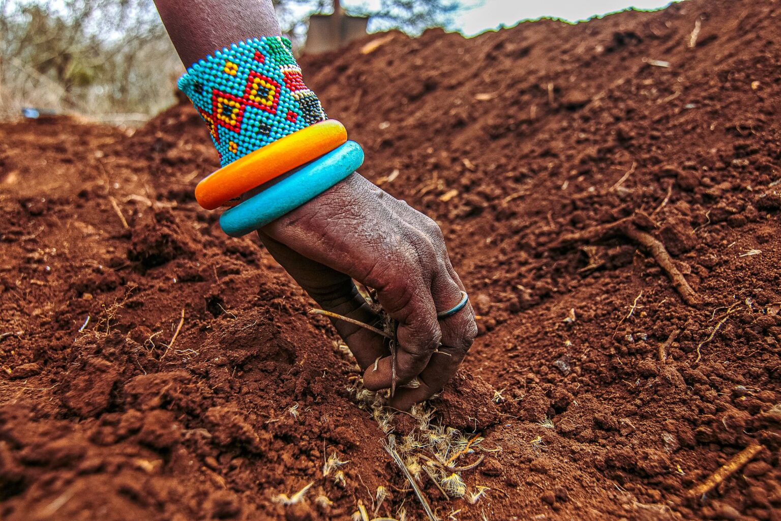 Building Water Bunds: A Step-by-Step Guide to Restoring Semi-Arid Land ...